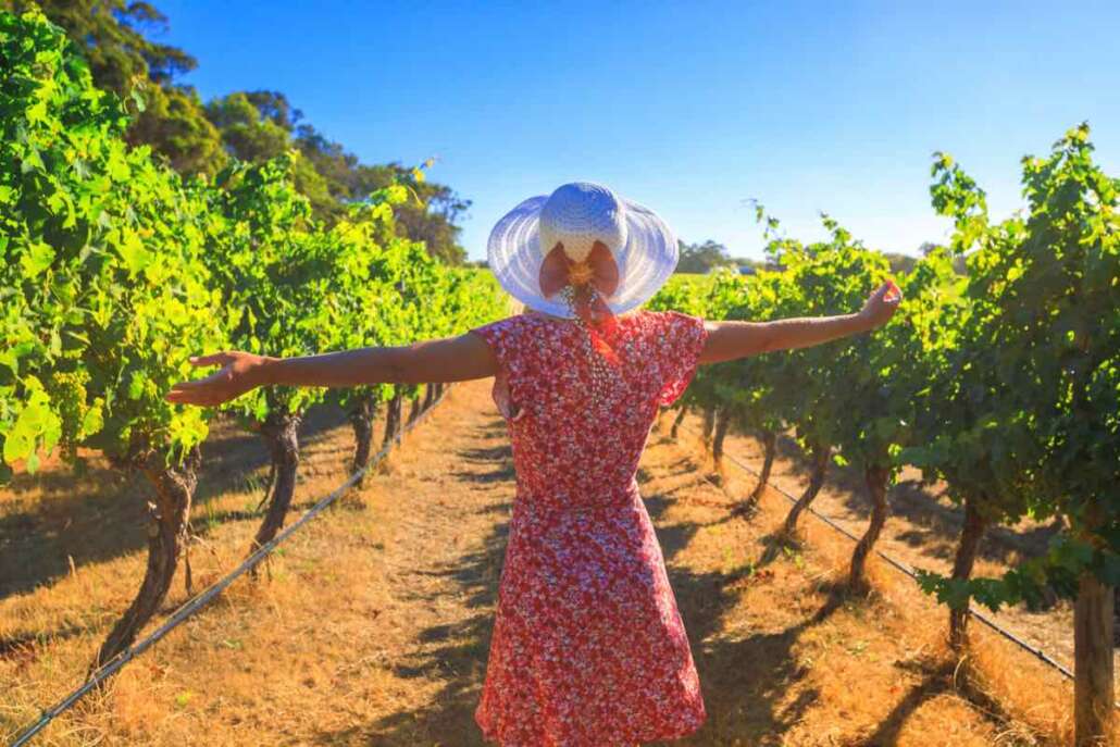 Special Offers - Grande Escape Margaret River